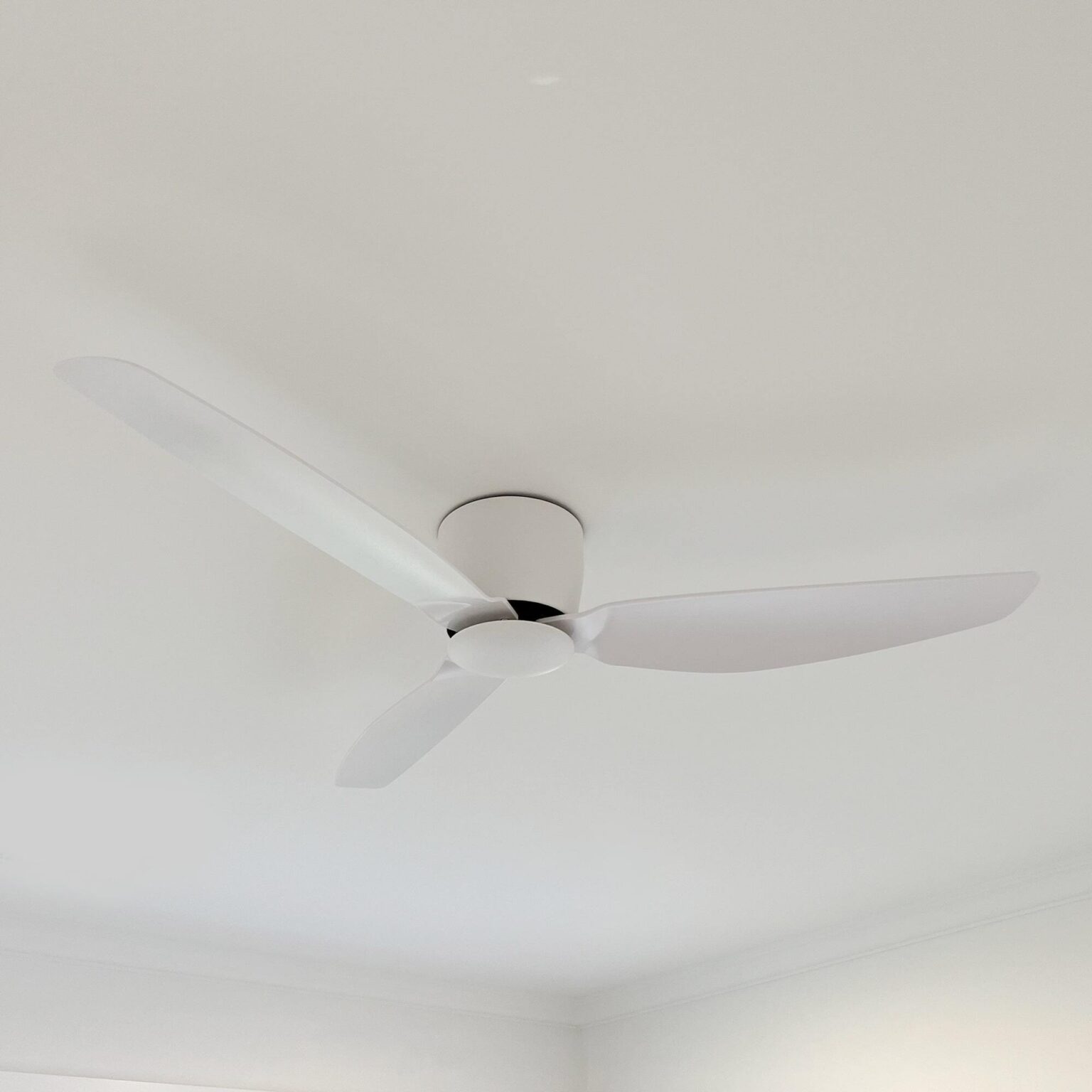 Whisper Low Profile Ceiling Fan by Claro. White 52" | Ceiling Fans ...